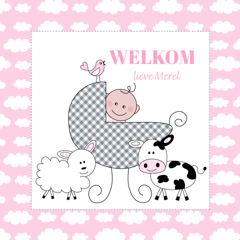 Felicitatie kaart geboorte meisje